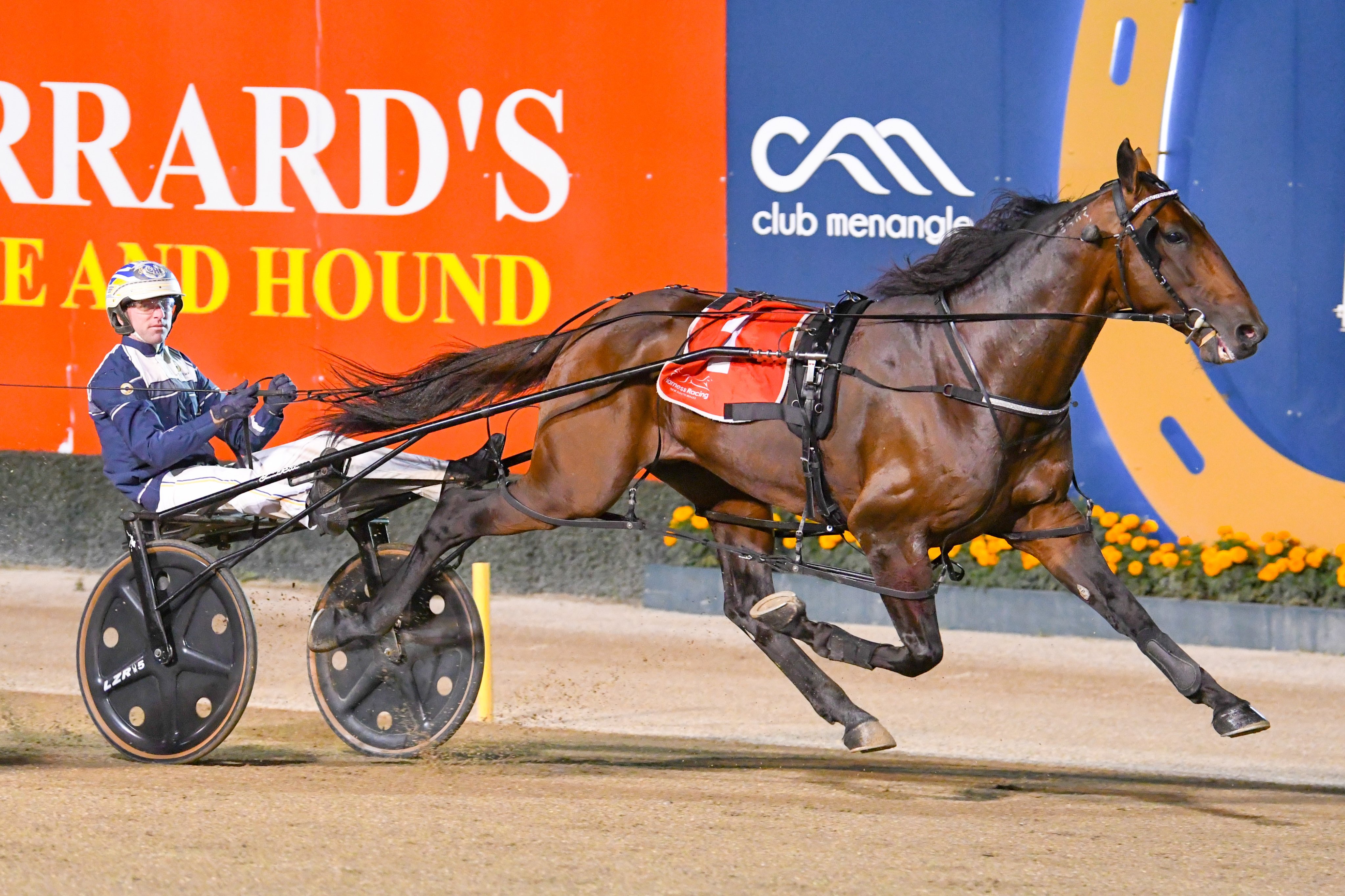 Wide Draw A Hurdle For Bay Of Biscay In Bid For Eureka Redemption | Sky ...