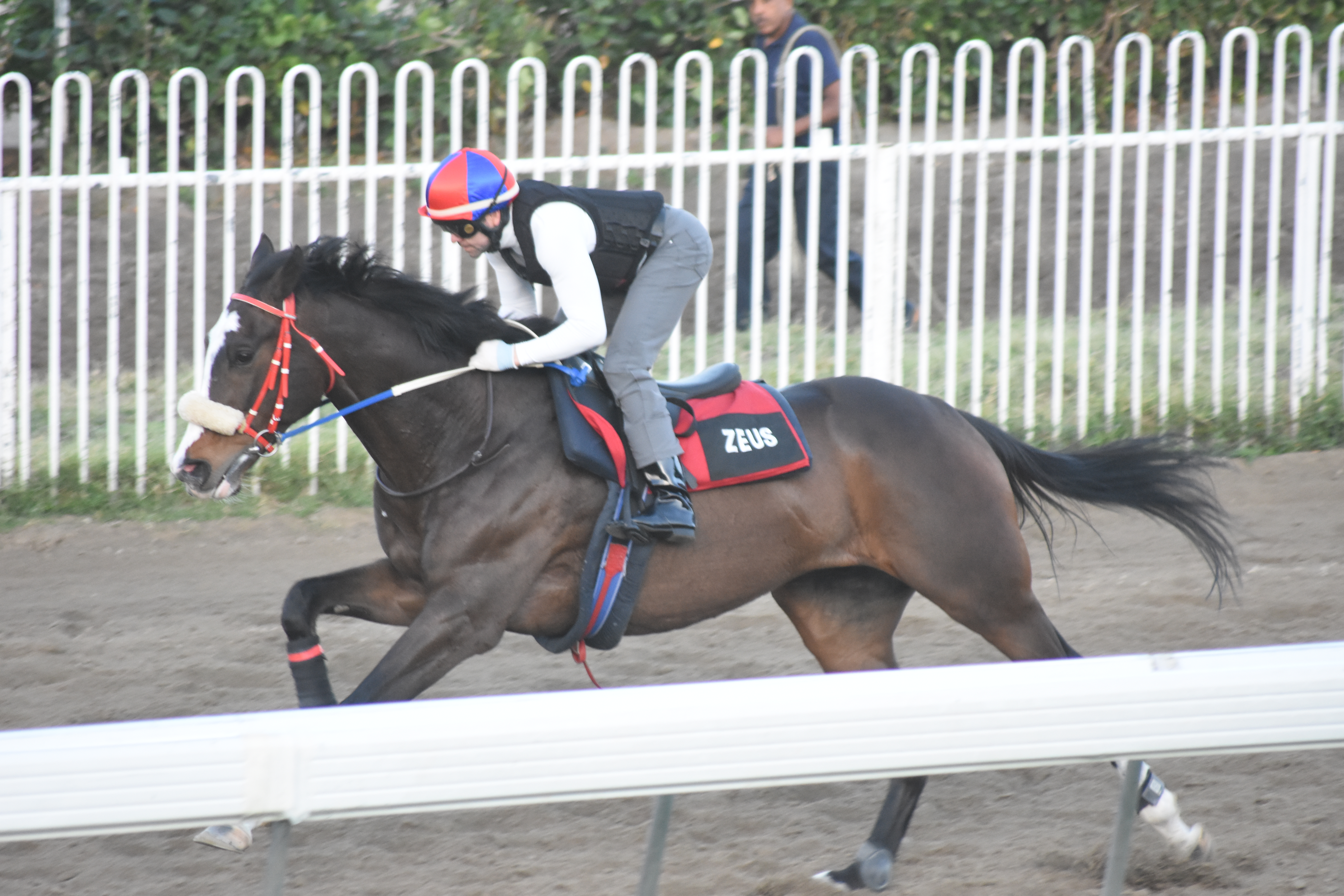 Horse Racing | Racing News | Betting | Mauritius Turf Club