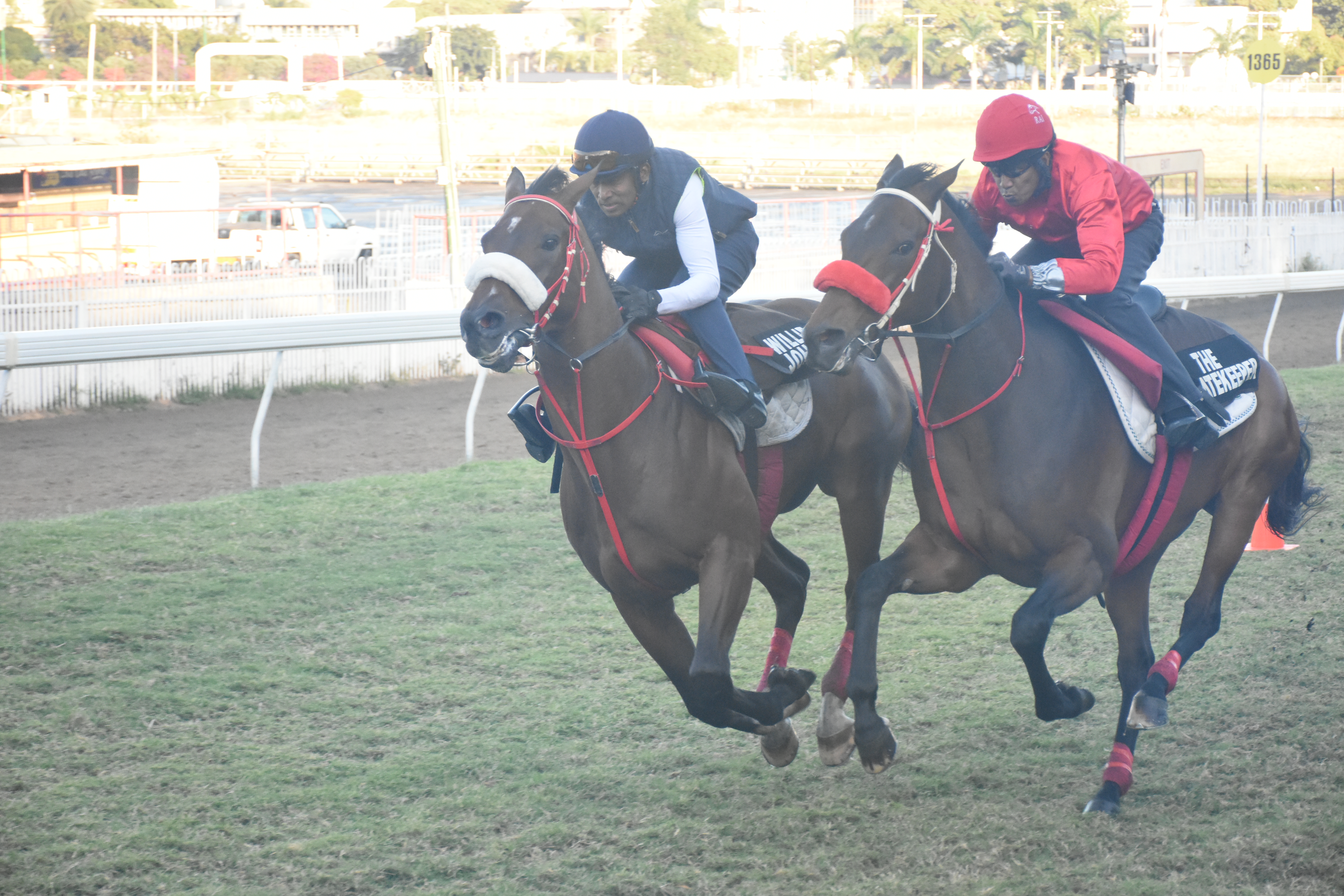Preparations Intensify In View To The Mauritius Telecom Barbé Cup ...