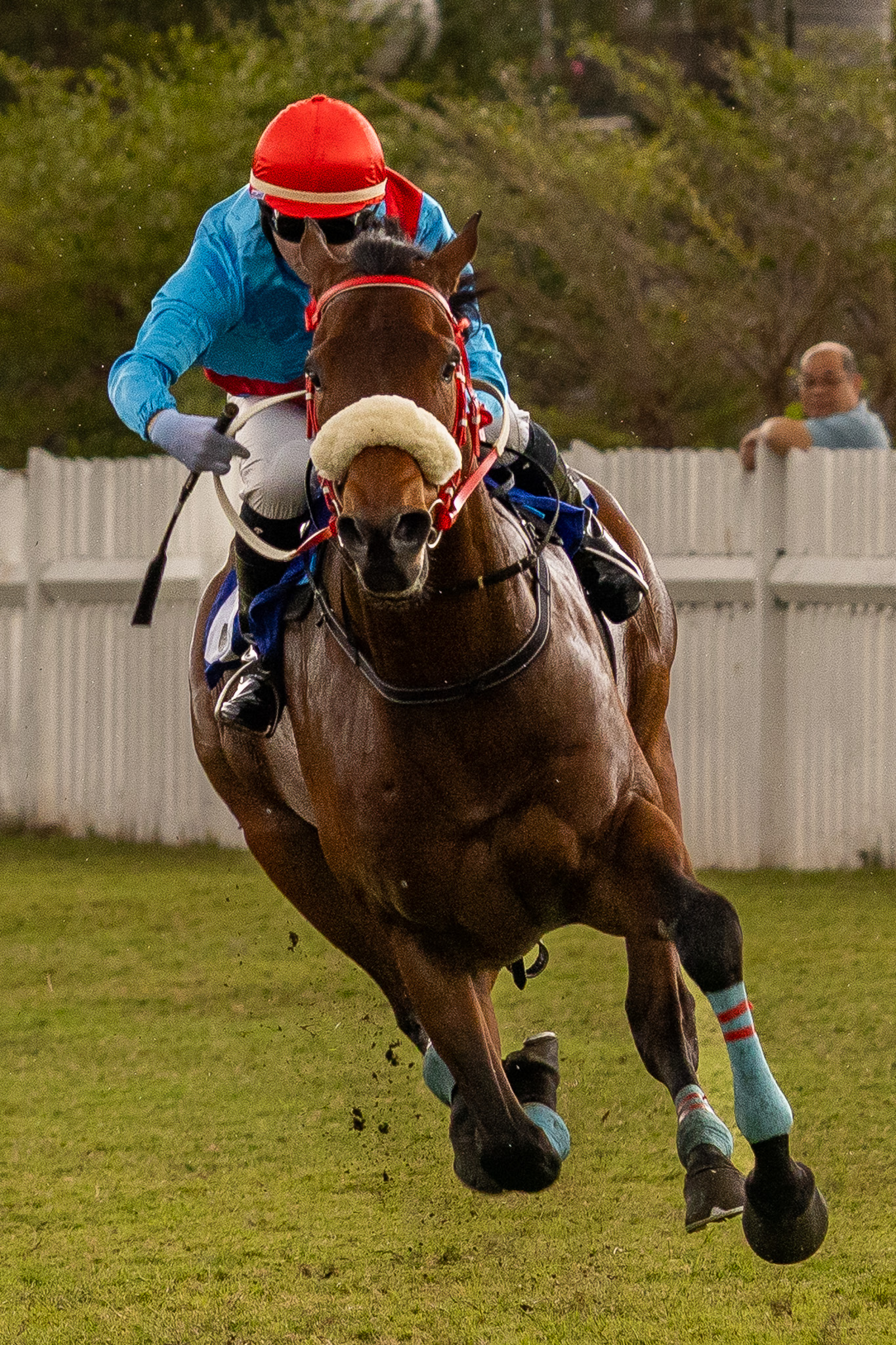 Mauritius Telecom Barbé Cup 2025: A Mouth-Watering Spectacle In Store ...