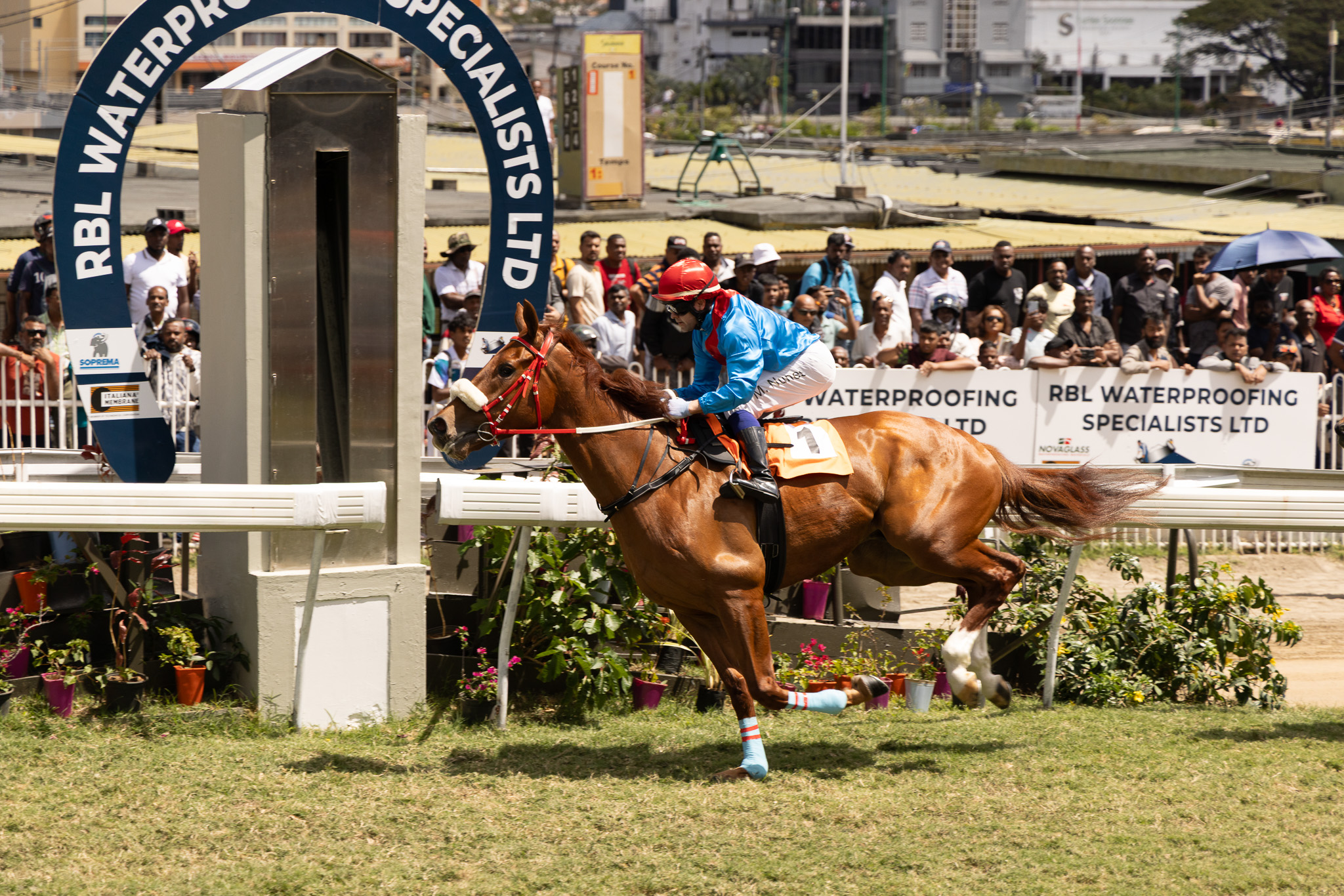 Horse Racing | Racing News | Betting | Mauritius Turf Club
