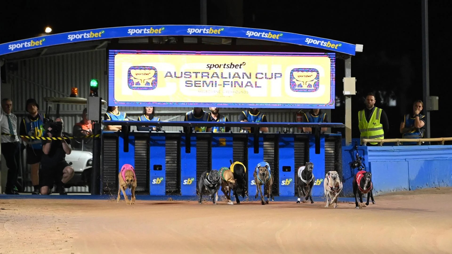 Race Data | Australian Cup Finalists Side-By-Side | Racing and Sports