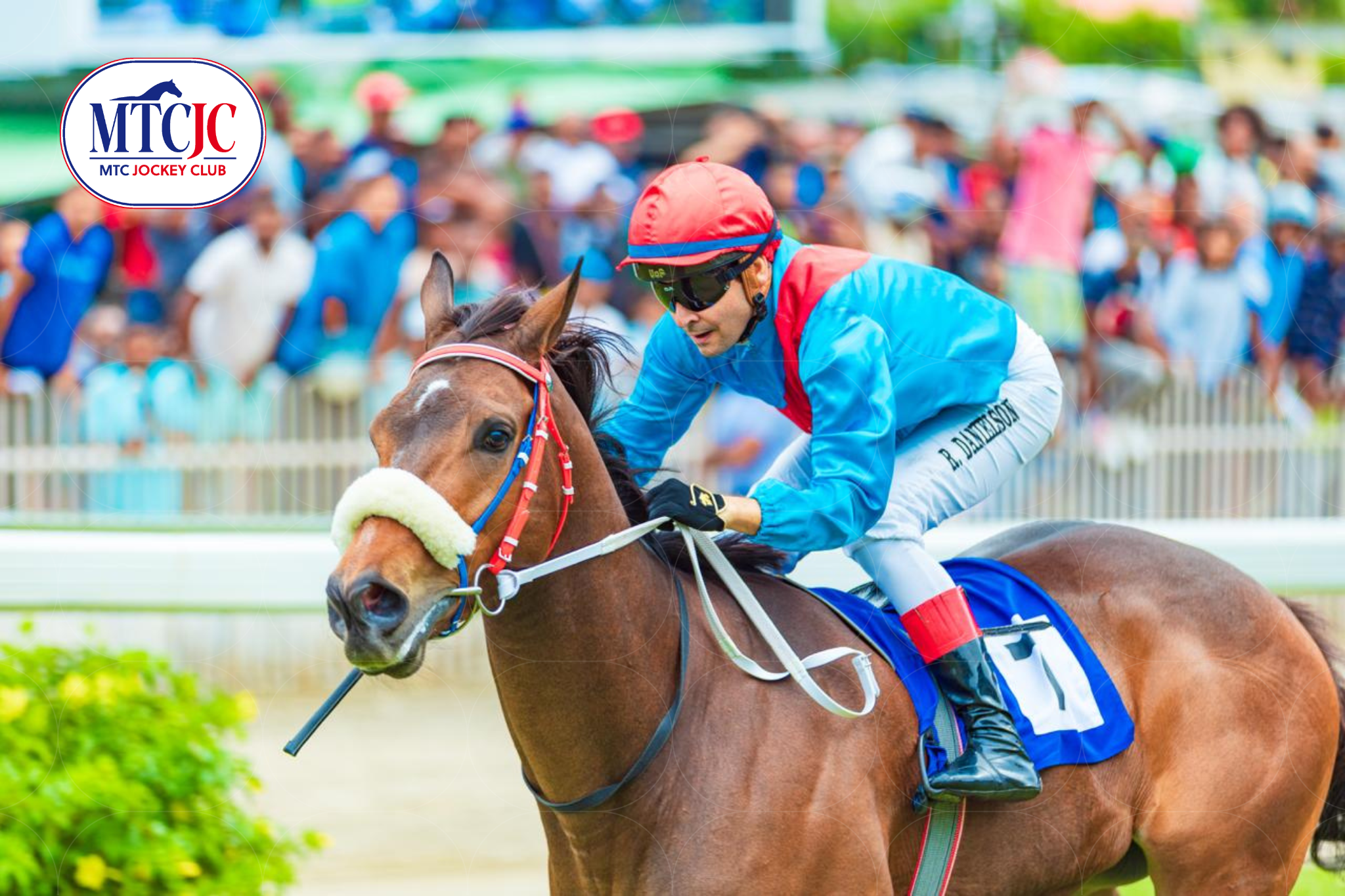 A Treble For The Gujadhur Stable | Racing and Sports